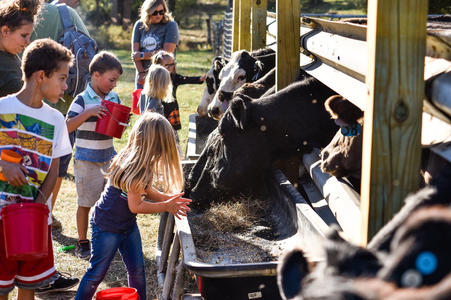 School Field Trips - Jackson Family Farm